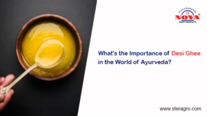 What's the Importance of Desi Ghee in the World of Ayurveda?