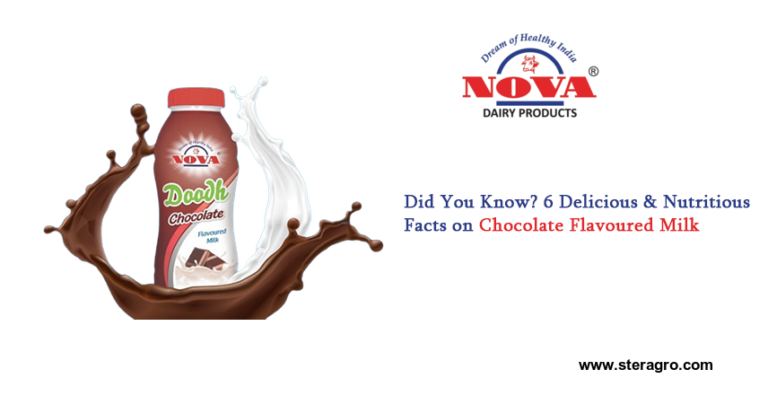 Health Benefits of Chocolate Flavoured Milk: 6 Delicious Facts