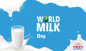Celebrate World Milk Day: The Benefits of Nova Pure Milk for Stronger Bones